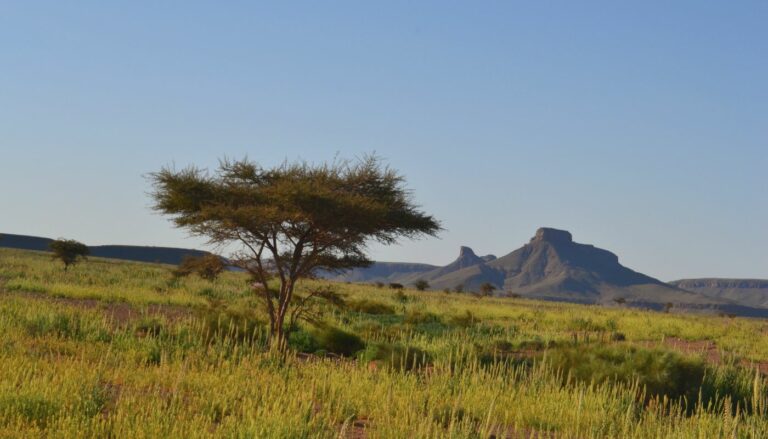 vallée du draa Maroc - Randonnée et Circuit Desert Maroc